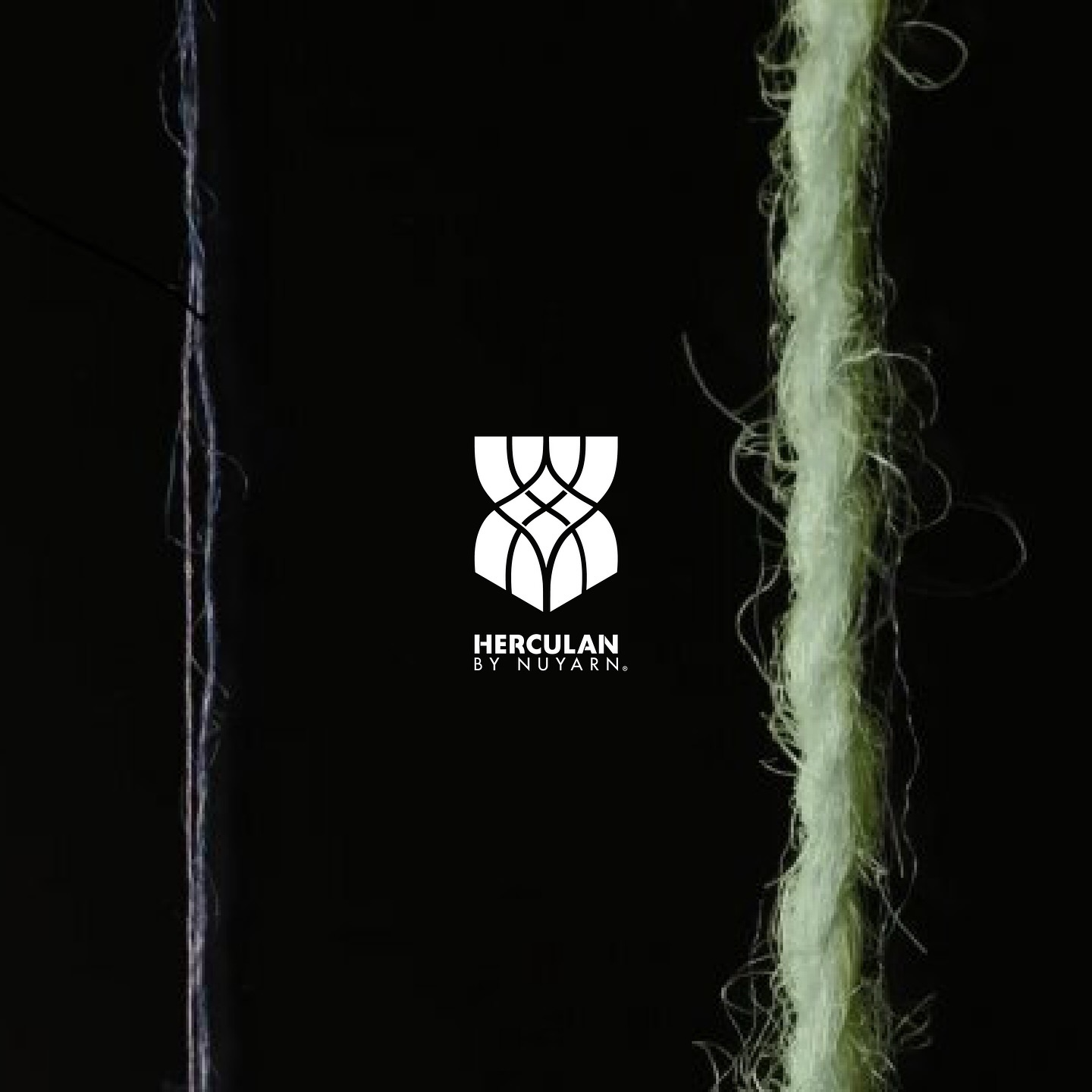 Media Releases | Nuyarn Technology